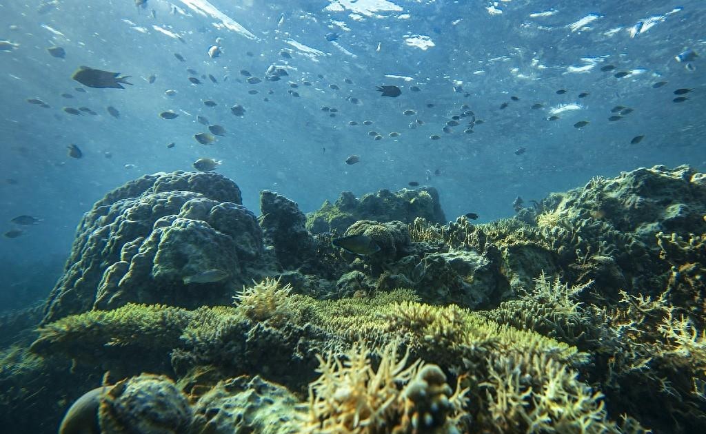 Enhancing Cooperation in Marine Environmental Protection in the South ...