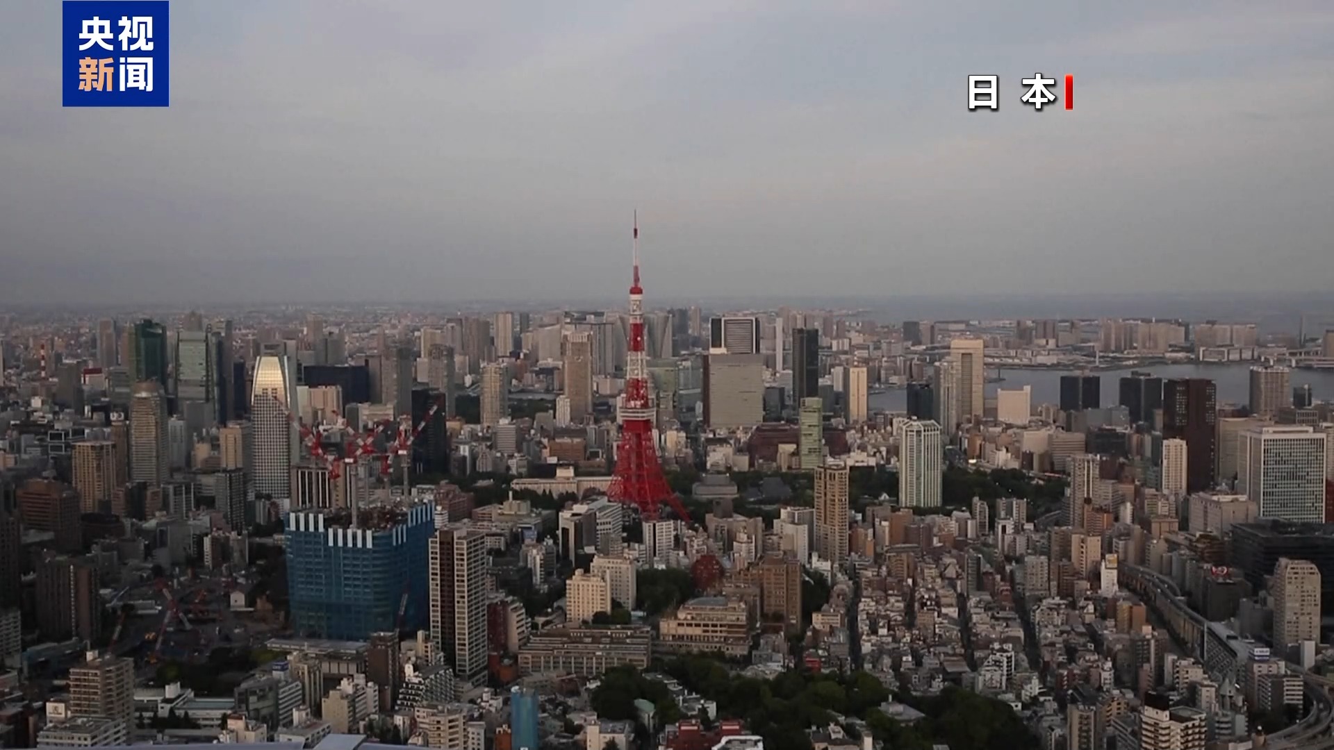 美国学者：高市错误言论冲击地区稳定